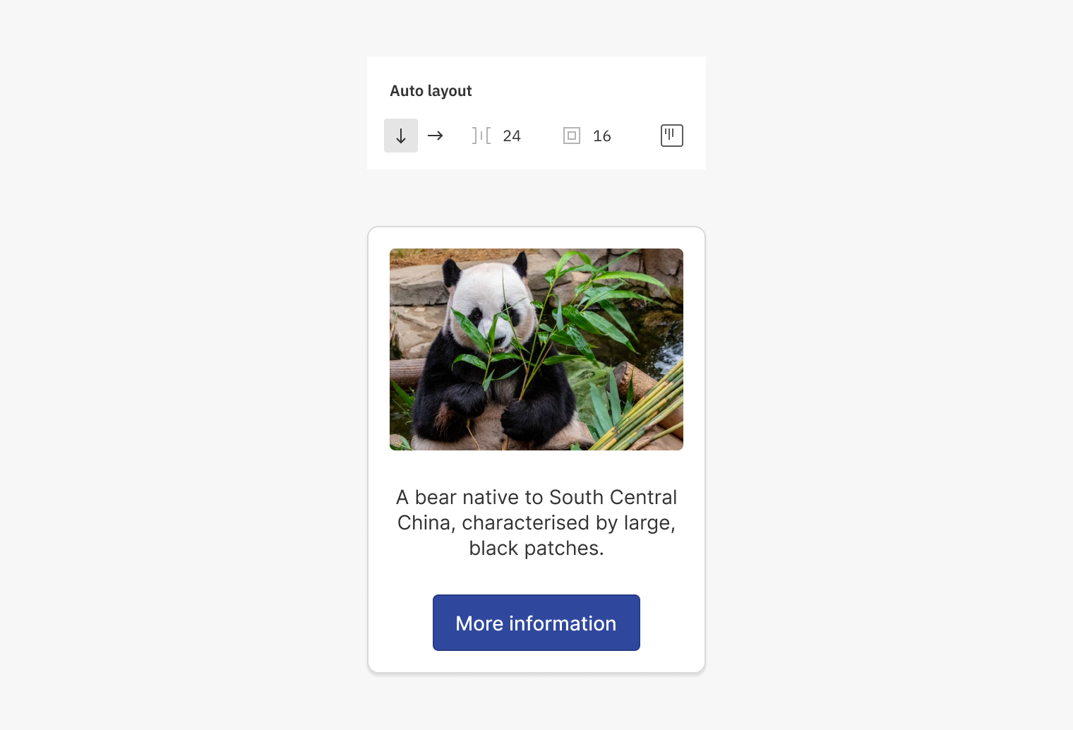 Auto layout | Design good practices